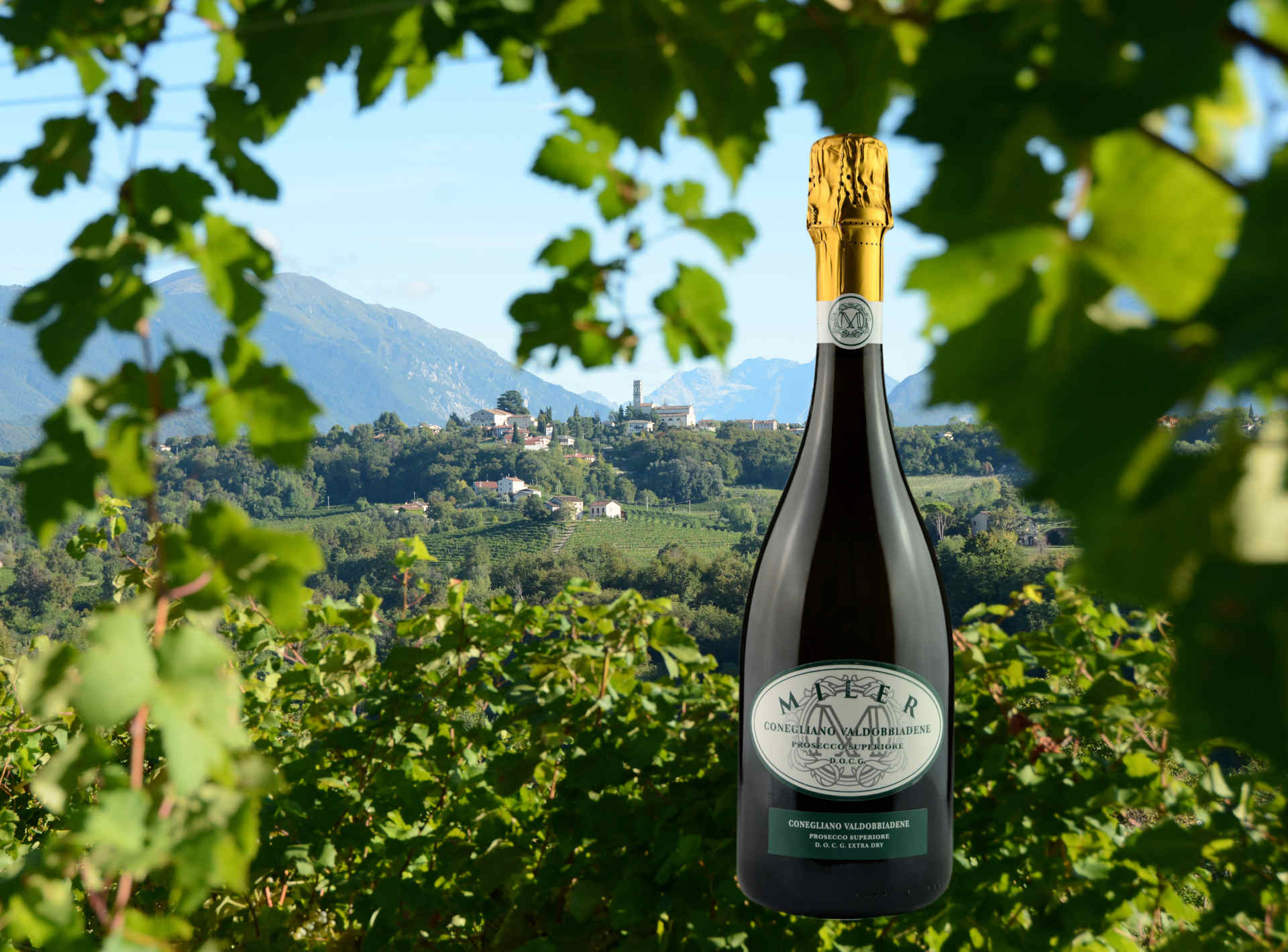 MILER Prosecco Superiore DOCG Conegliano Valdobbiadene | 0,75L | 11% ...